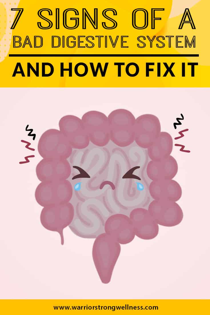 7 Signs of A Bad Digestive System and How to Fix It – Warrior Strong ...