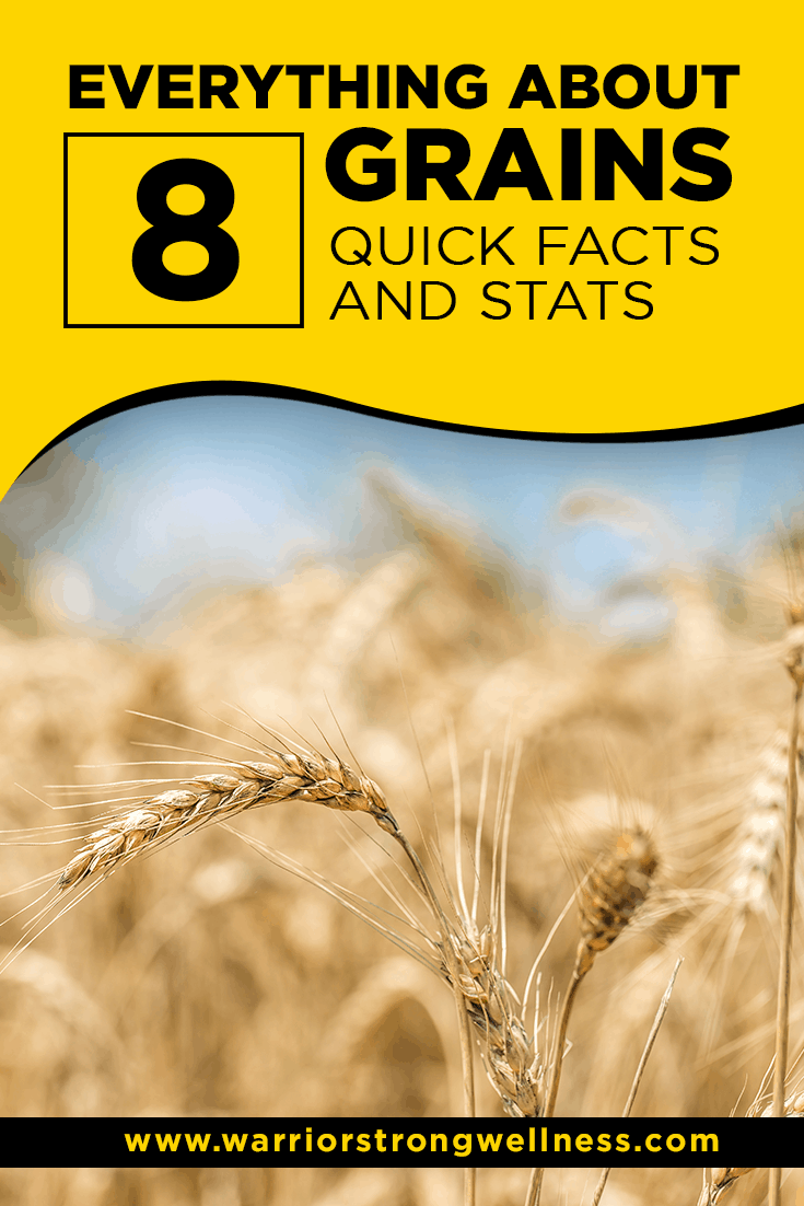 Everything About Grains – 8 Quick Facts and Stats – Warrior Strong Wellness
